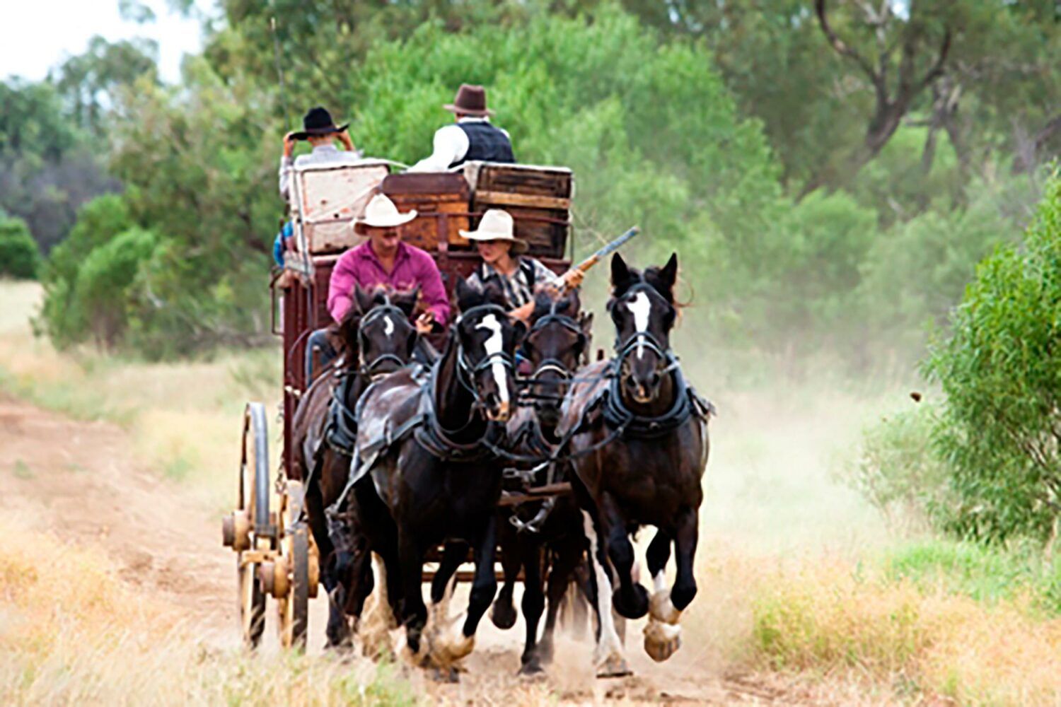 Outback Tours - Albert Park Longreach